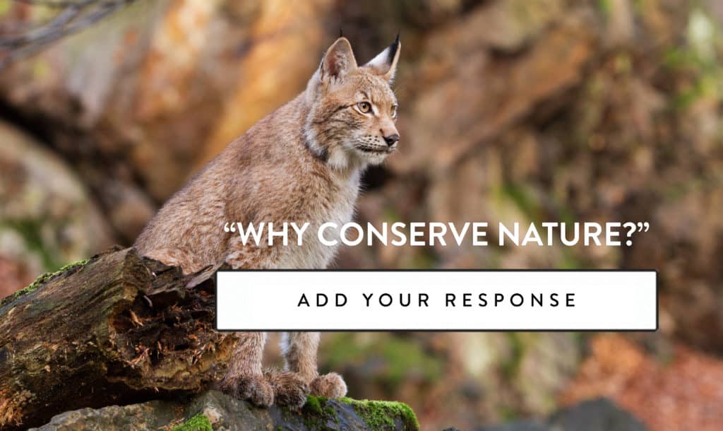 Introducing Why Conserve - Conservation Optimism
