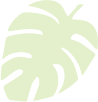 Home - Conservation Optimism