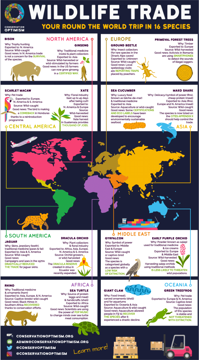 Youth Resources - Conservation Optimism
