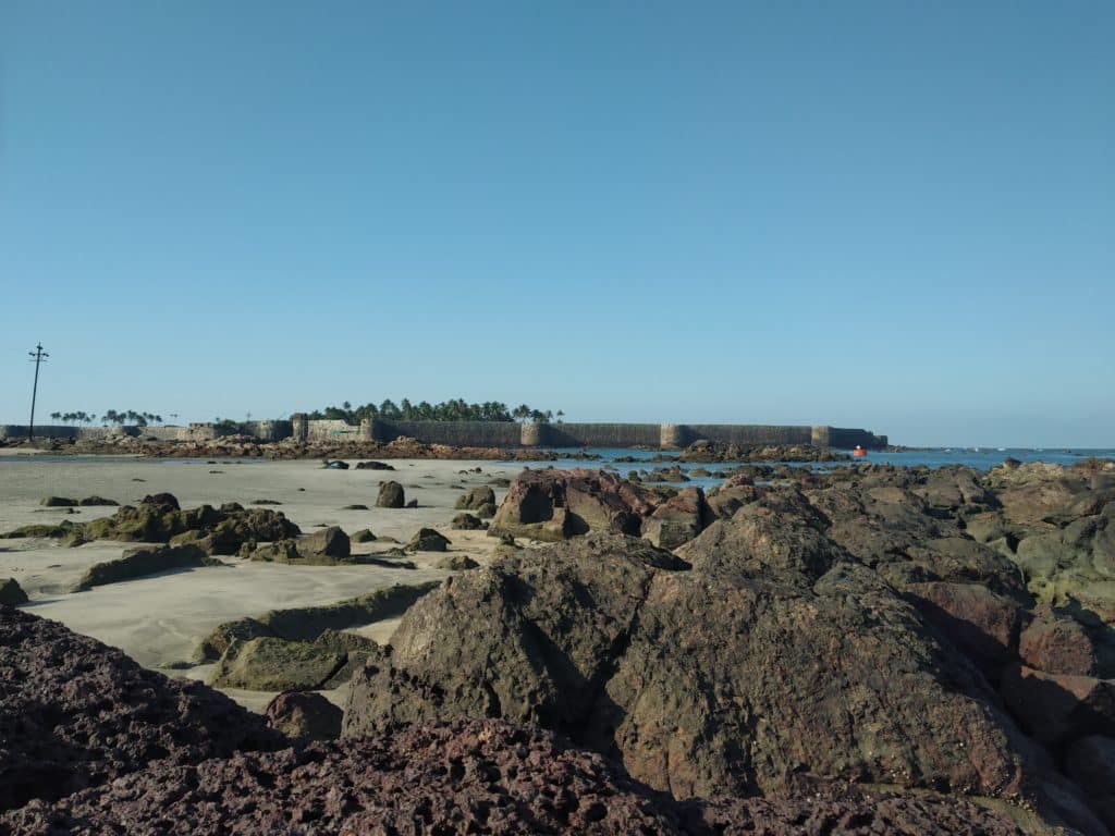 In the company of Bamboo Sharks - Conservation Optimism