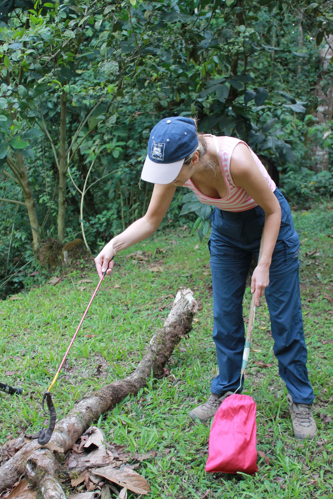 International Women's Day 2021 - more inspiring women! - Conservation ...
