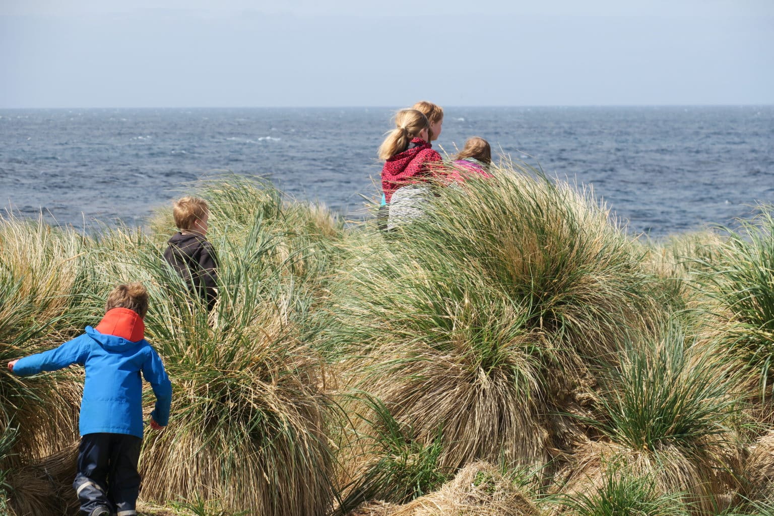 Fantastic Falkland Islands - Conservation Optimism