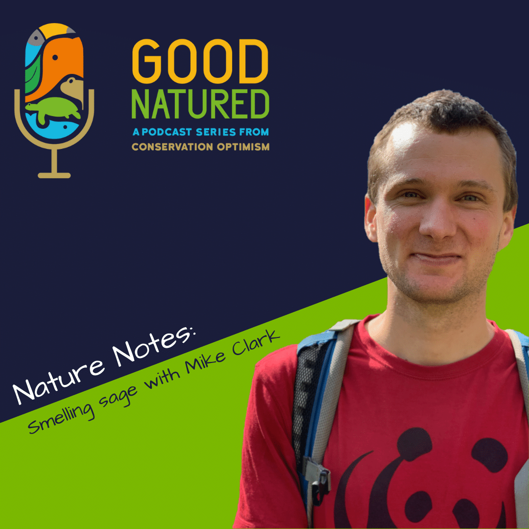 Learning how to be a podcaster - Conservation Optimism