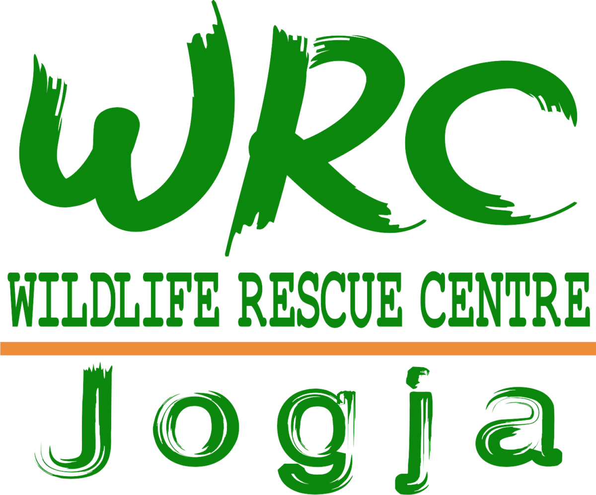 Wildlife Rescue Centre Jogja - Conservation Optimism