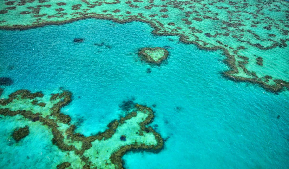 Embracing empathy to protect the Great Barrier Reef - Conservation Optimism