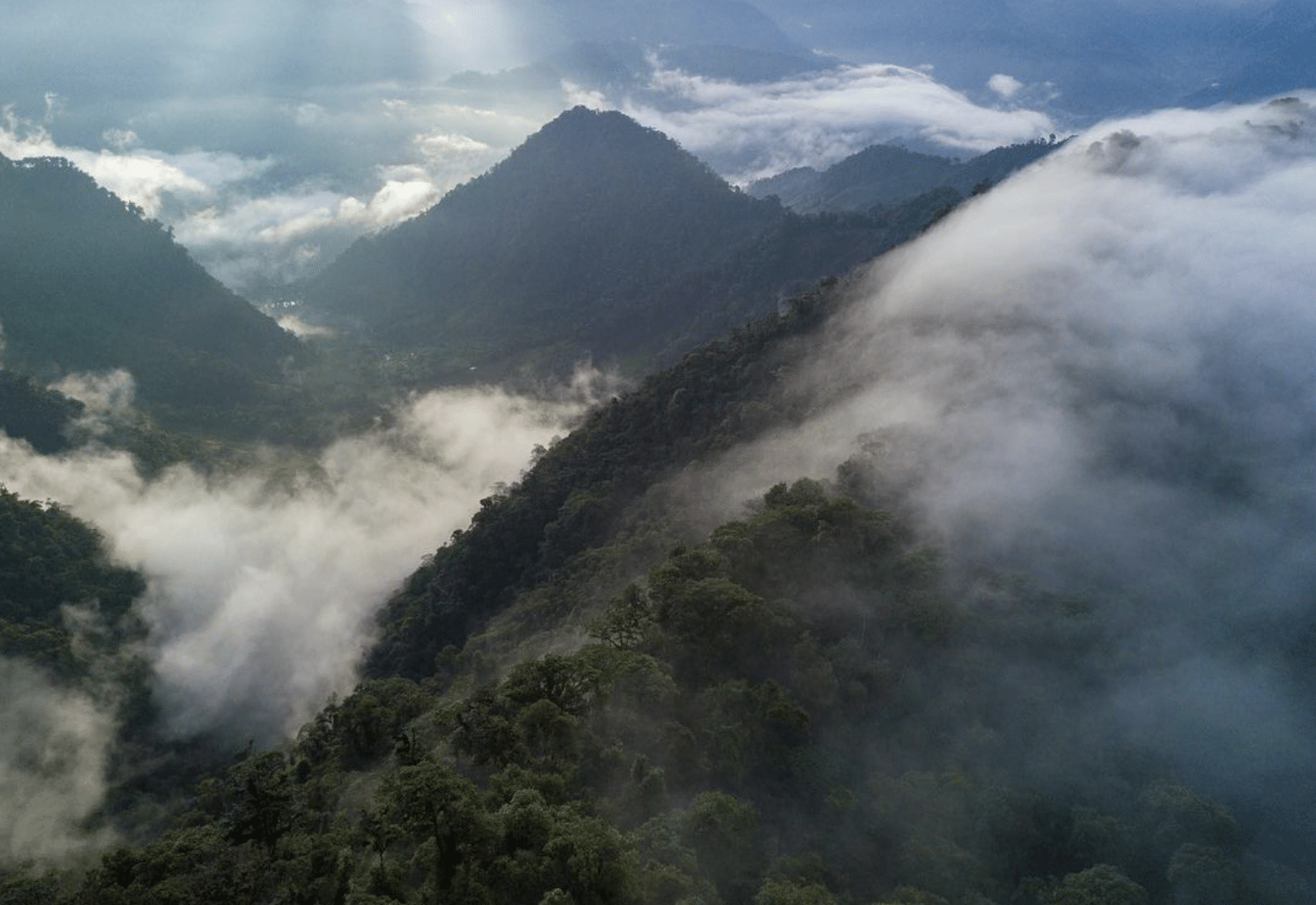 Up in the clouds: how youth-led campaigns are saving the Chocó cloud ...