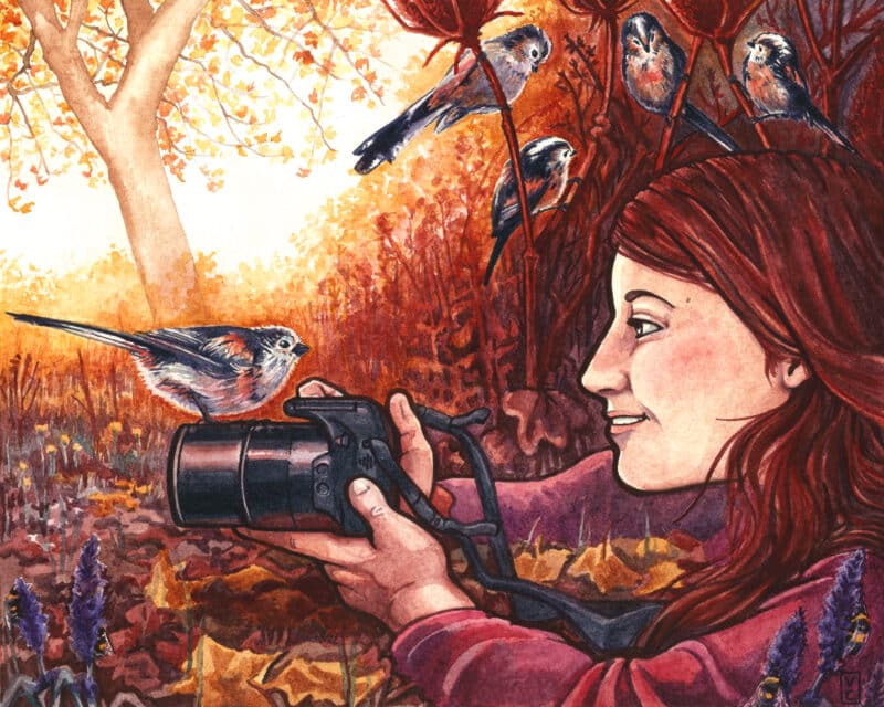 Nature Recovery Art Exhibition - Conservation Optimism