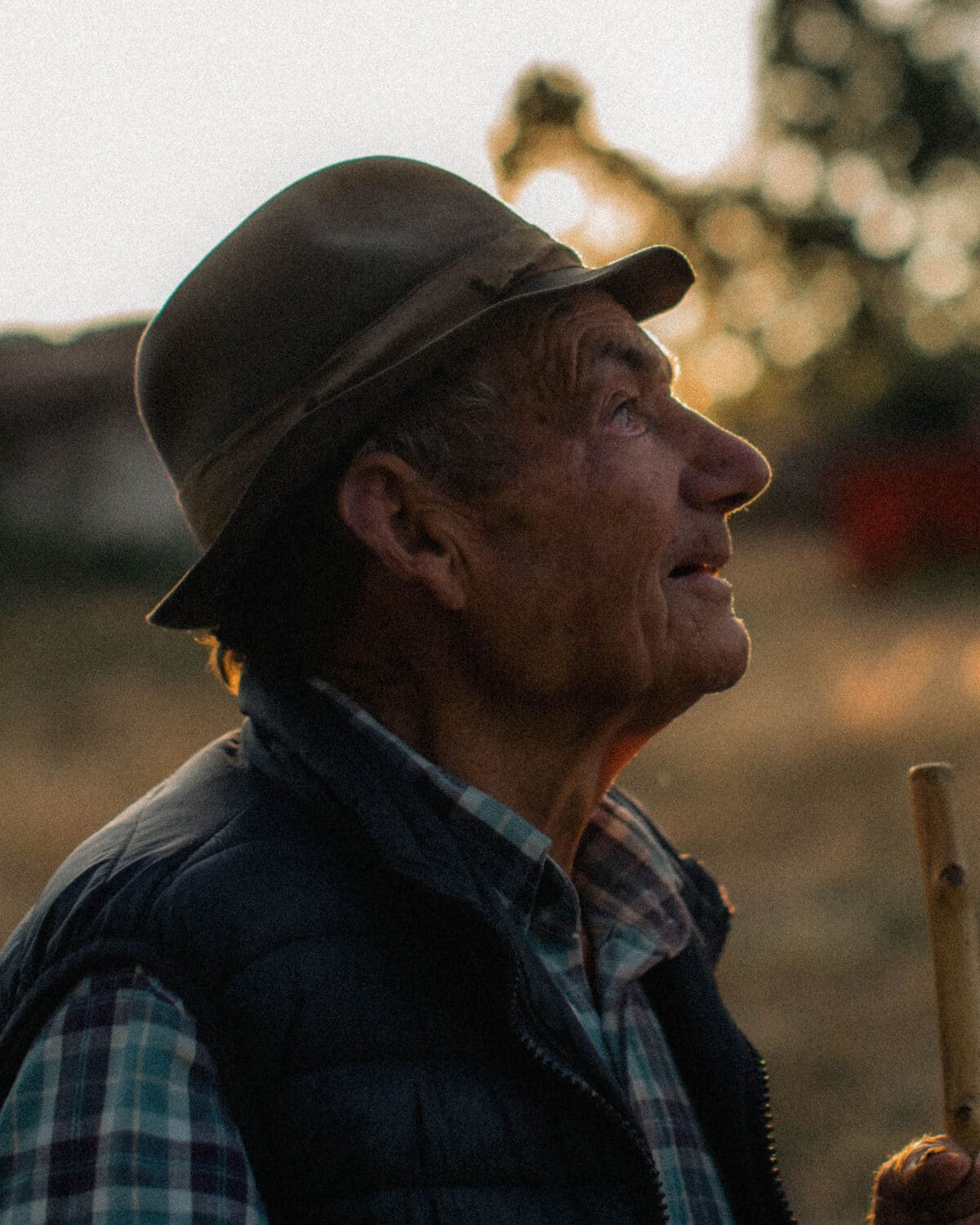 Home - Conservation Optimism