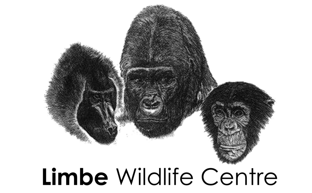 Limbe Wildlife Centre - Conservation Optimism