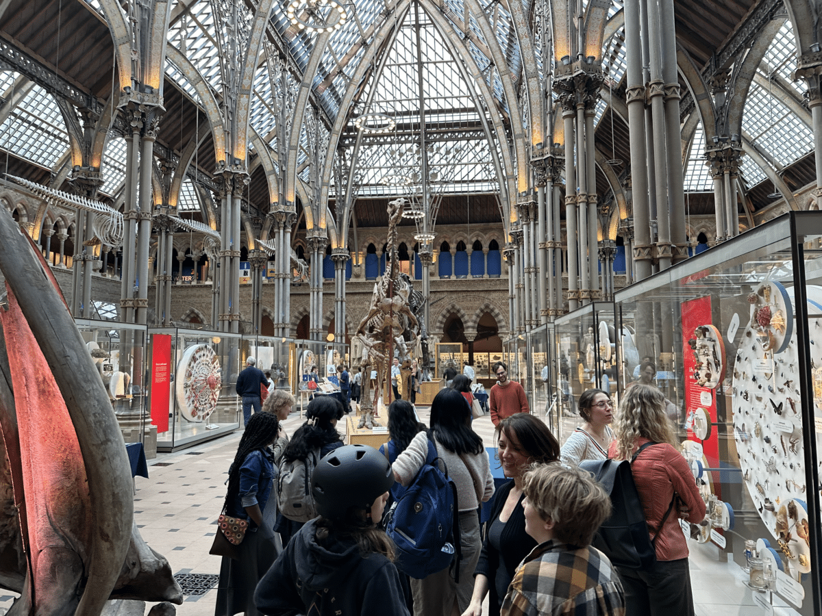 Events - Conservation Optimism